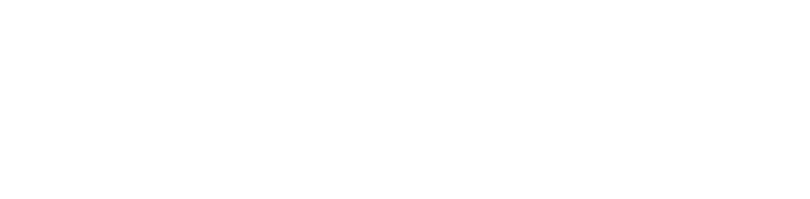 Mass Tort Litigation Support Services for Law Firms - Verus, LLC